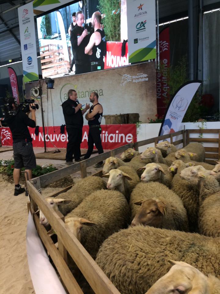 Démonstration de tonte au salon de l'Aquitaine - Mondial de tonte ...